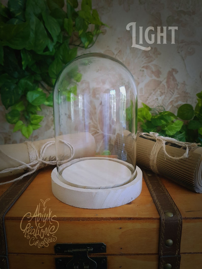 Glass Dome Wood Base Diorama Collectible Display Case - Etsy