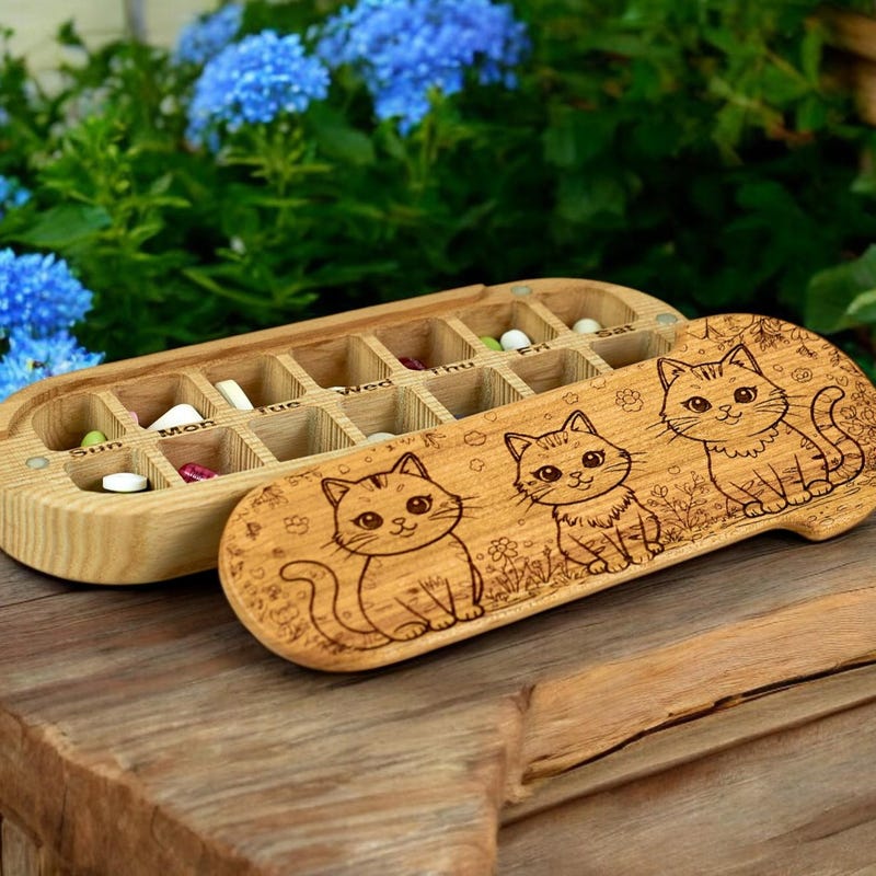 Cat Pill Box - Etsy