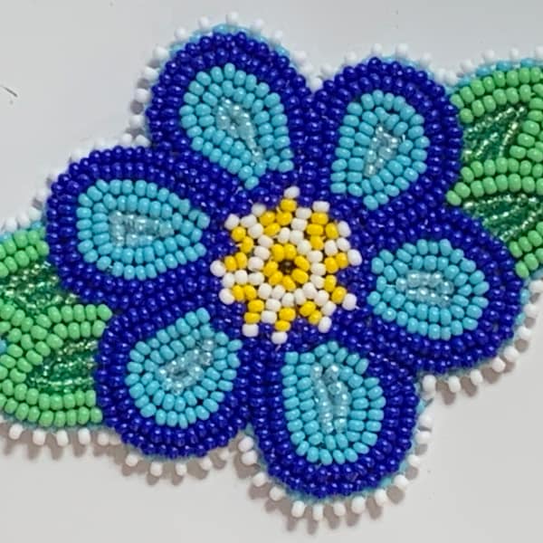 Alaska Forget Me Not - Etsy