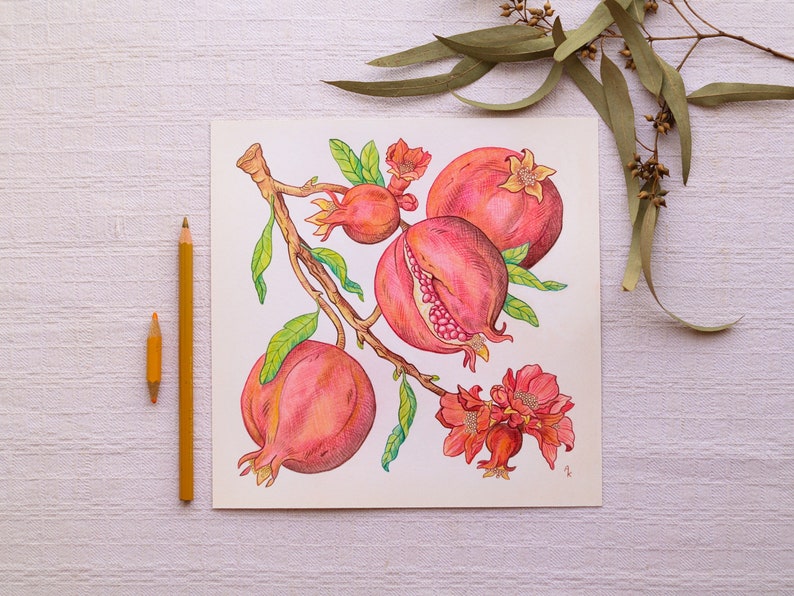 Pomegranate Branch - Original Color Pencil Drawing - Hand Drawn Red ...