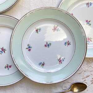 French Vintage Small Plates White and Green Floral Porcelain SALINS 66 ...