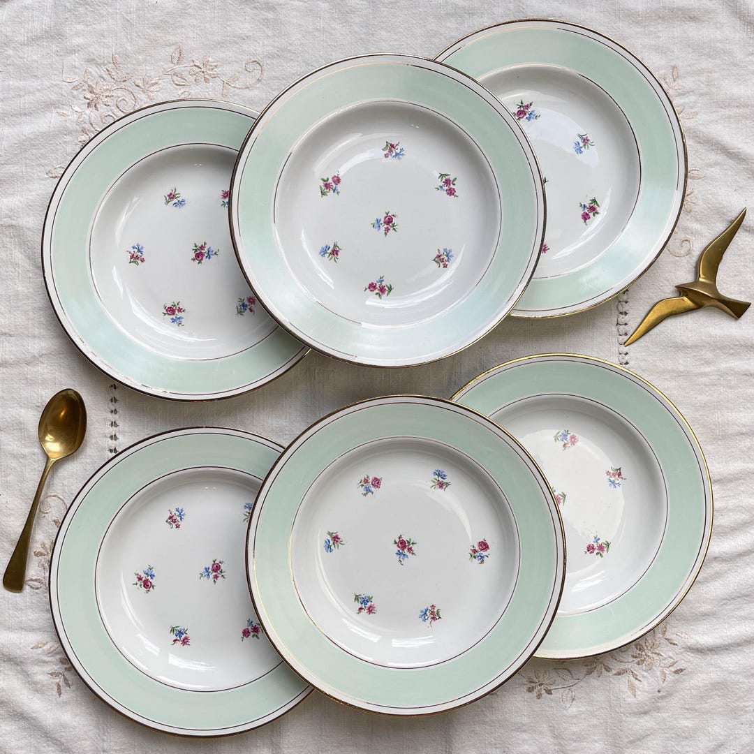 French Vintage Soup Plates White and Green Floral Porcelain SALINS 66 ...