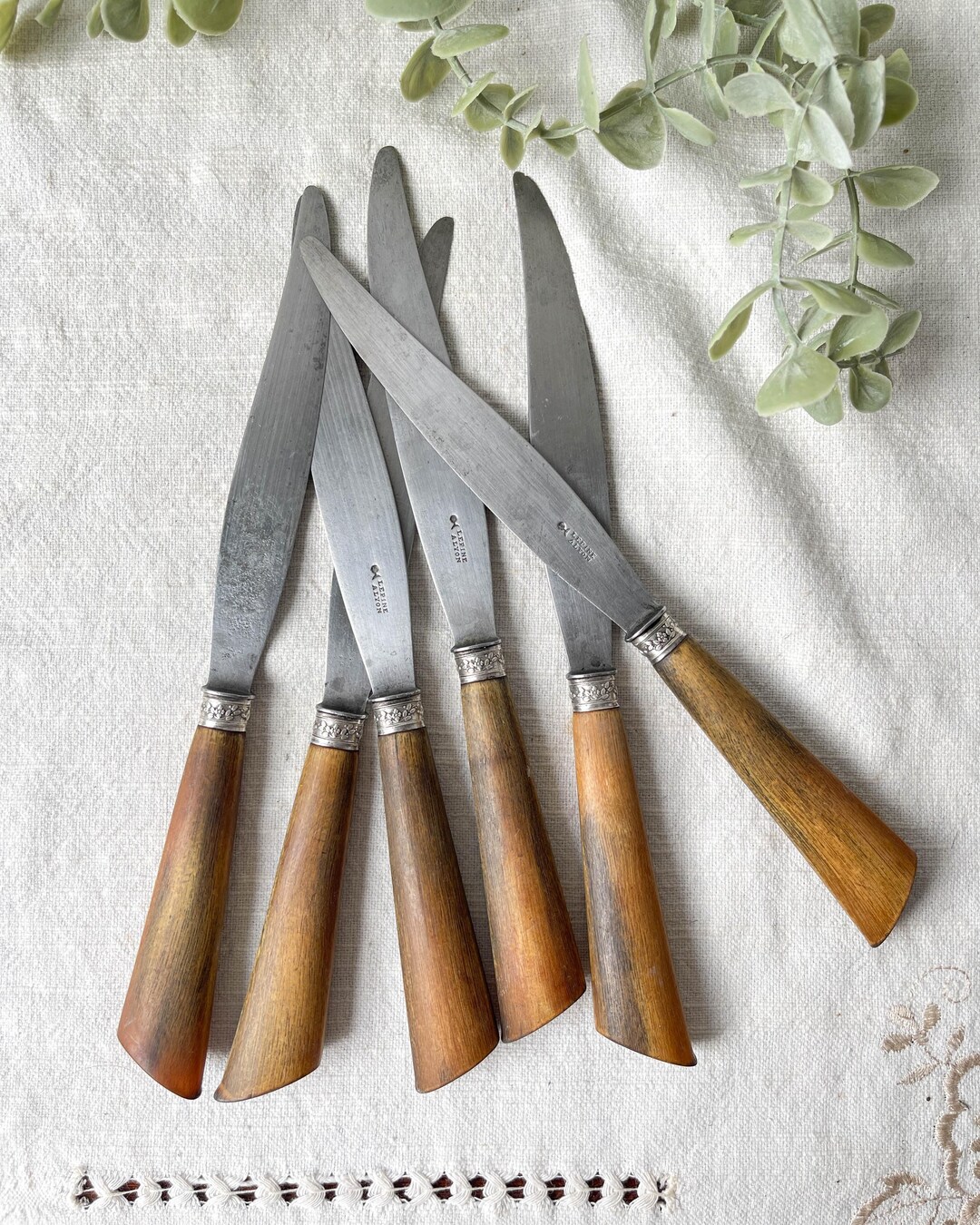 6 Vintage Horn Knives Silver Steel Blade LEPINE A LYON France 19th ...