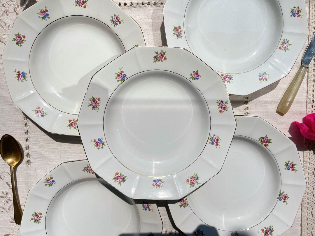 5 Vintage Soup Plates in Opaque Porcelain SALINS Floral Pattern Flower ...