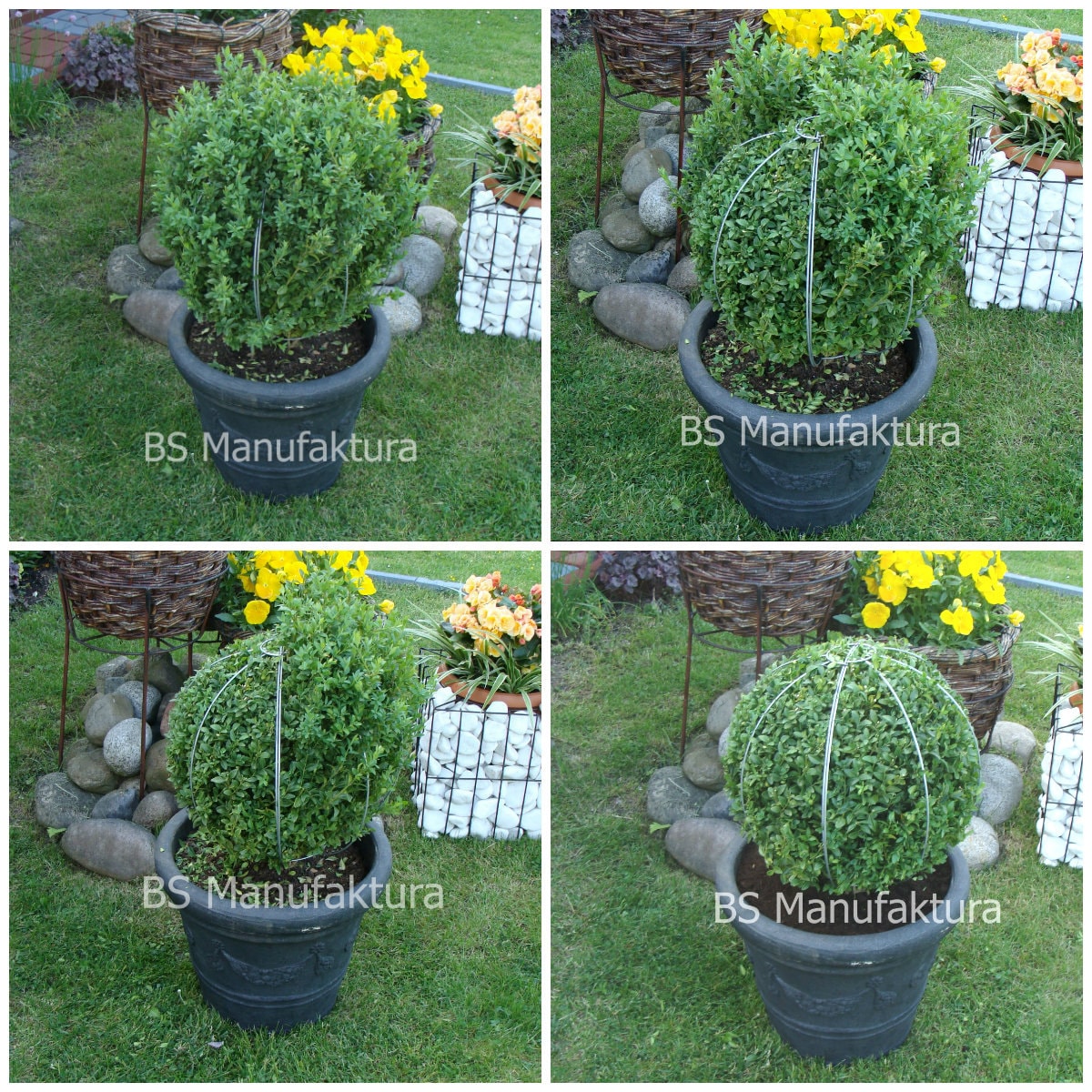 Wire Frame Topiary Ideas