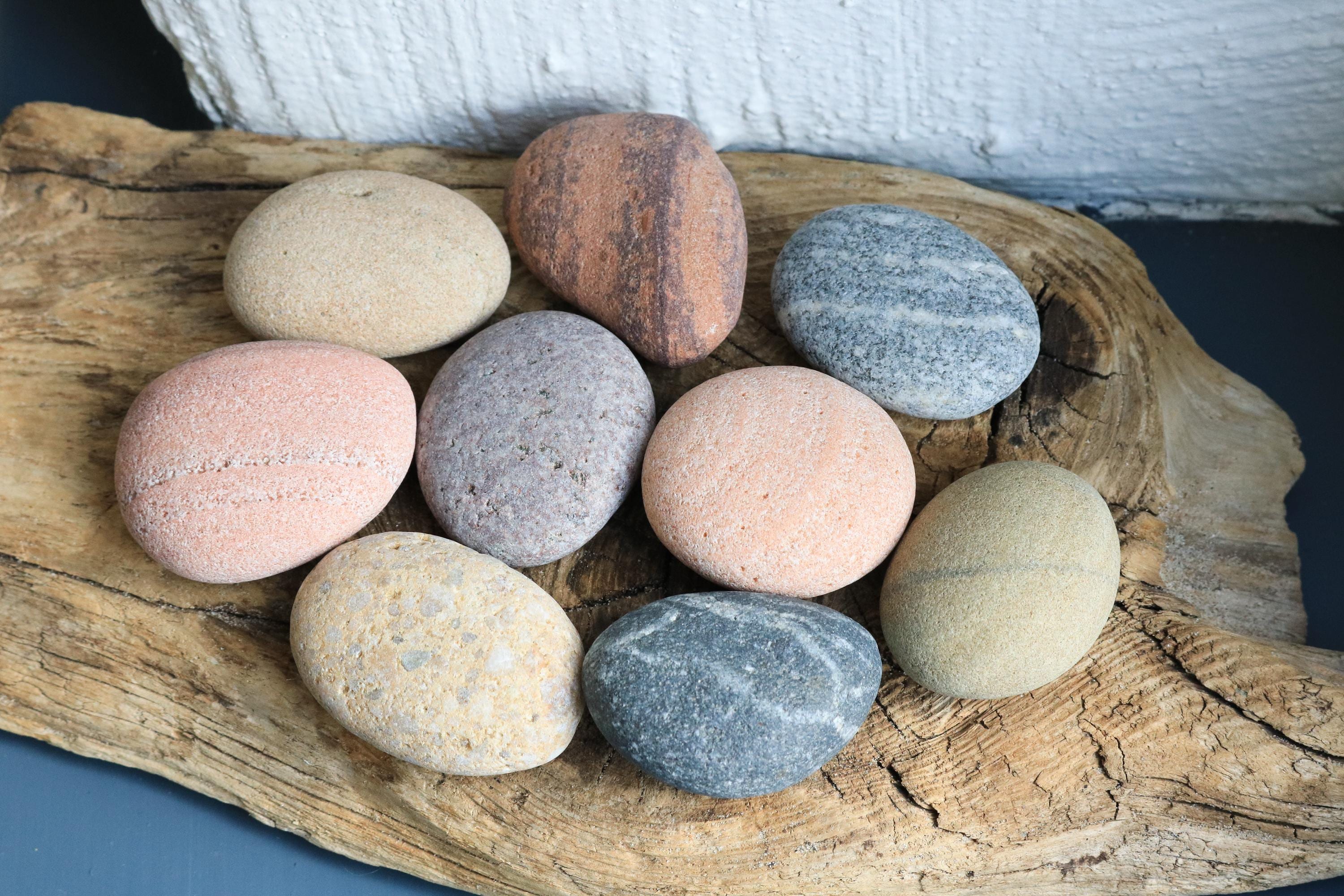 Decorative Rock Mix - Naturally Tumbled Colorful Sea Stones - Pebble ...