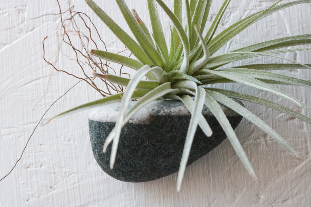 Floating Stone Shelf Wall Hook Unique Tiny Altar Shelf Japandi Wall ...