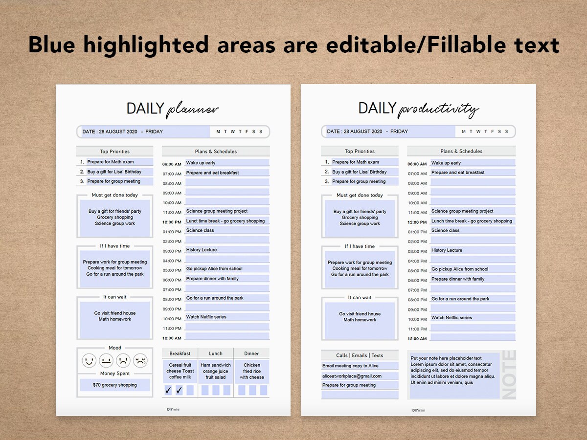Fillable PDF Daily Planner Productivity Planner Schedule - Etsy