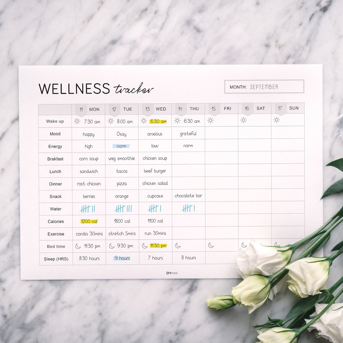 Weekly Wellness Tracker Editable Health Tracker Instant - Etsy UK