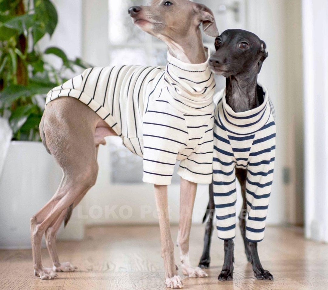 Striped Cotton Tops for Italian Greyhounds - Etsy