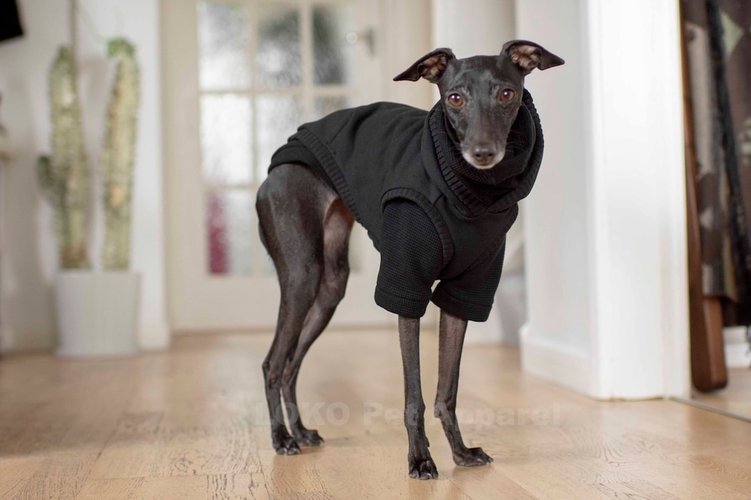 Muscle Vest for Italian Greyhounds - Etsy