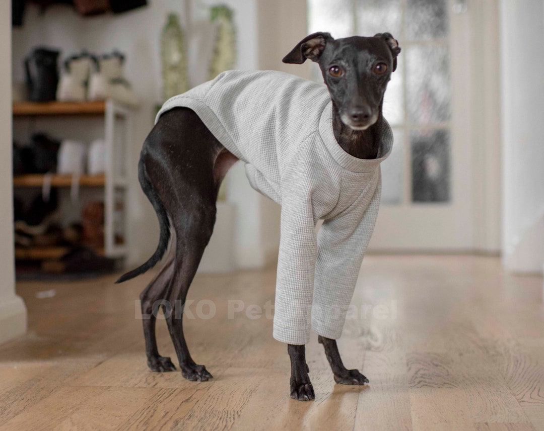 Waffle Tops for Italian Greyhounds & Whippets - Etsy