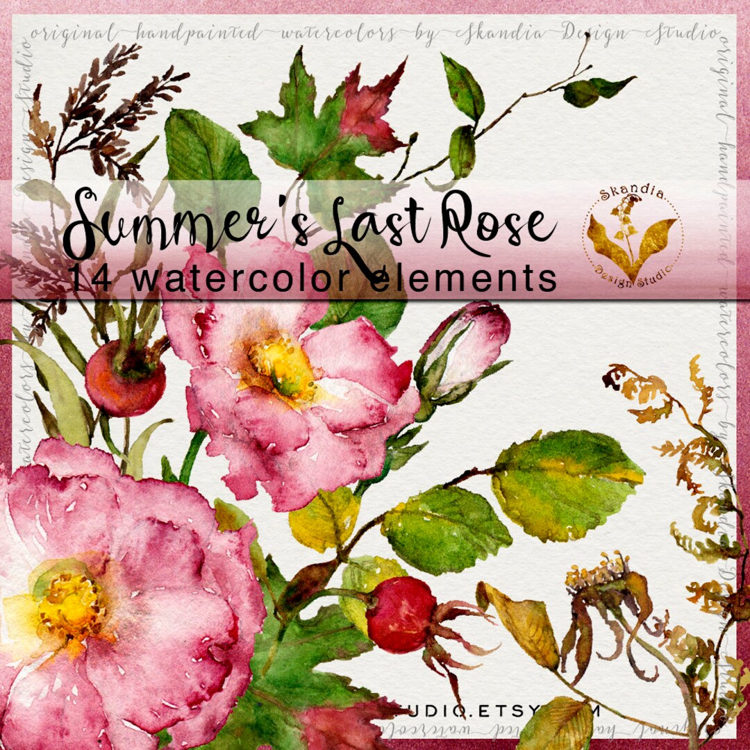 Pink Roses Clipart, Handpainted Clipart, Watercolor Clipart, Flower ...