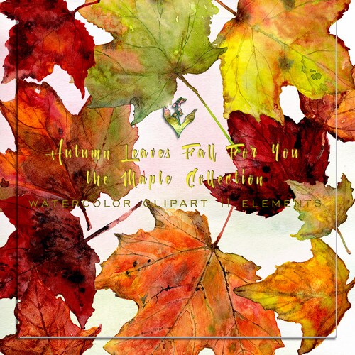Autumn Leaves Watercolor Clipart Fall Leaf PNG Maple Oak - Etsy