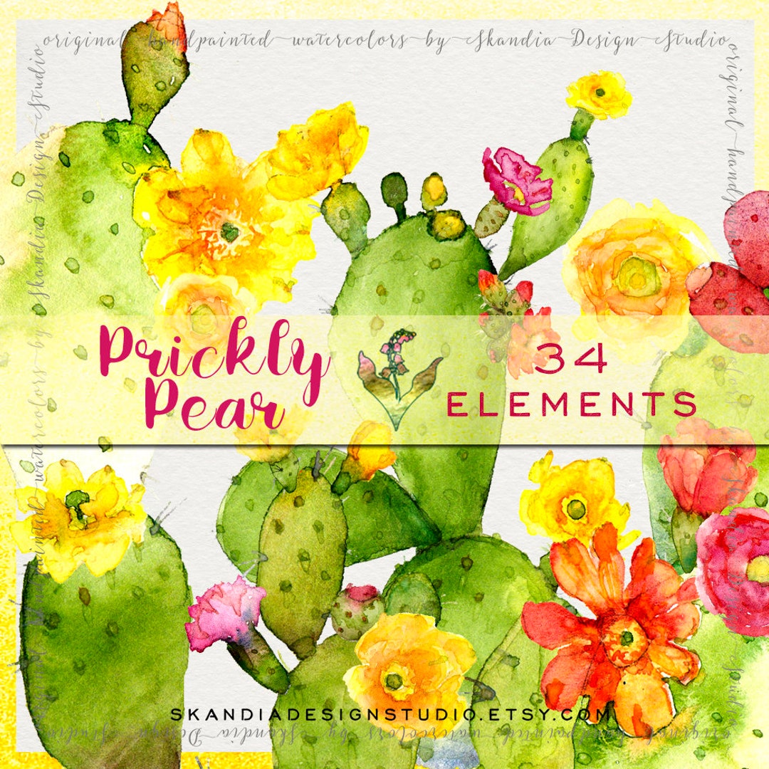 Prickly Pear Clipart, Succulent Clipart, Handpainted Clipart ...