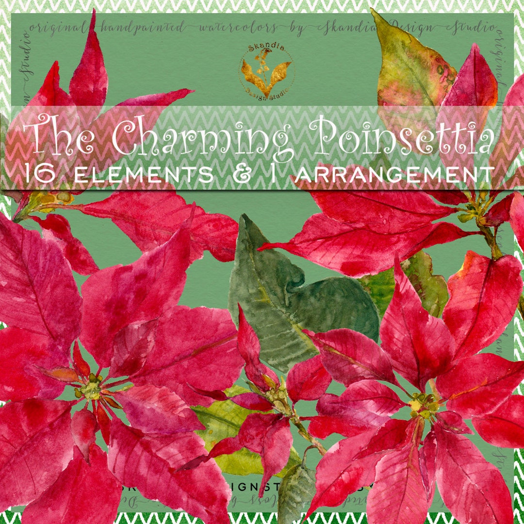 Christmas Clipart, Poinsettia Clipart, Watercolor Clipart, Holiday ...
