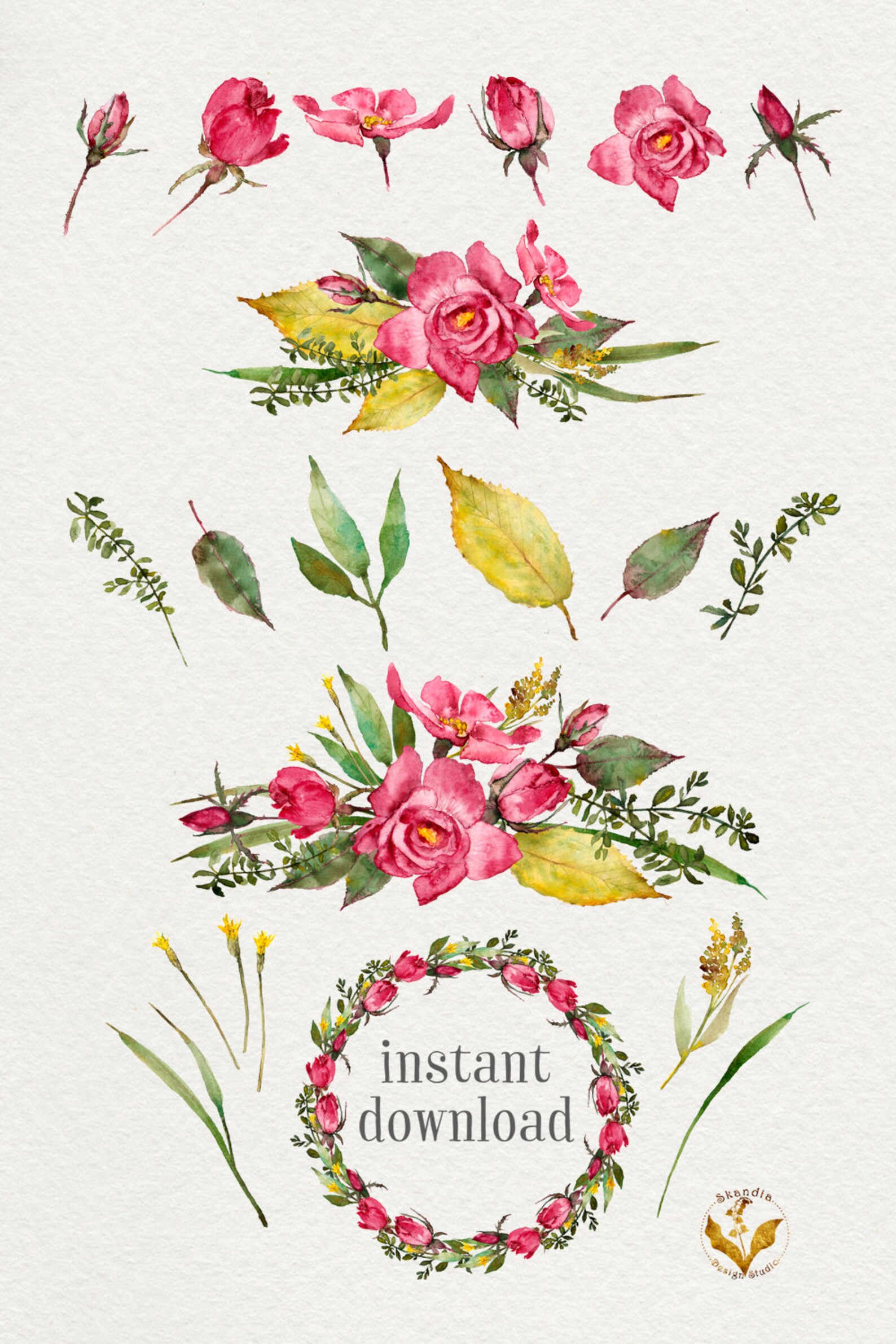 Watercolor Clipart Rose Clipart Autumn Clipart Wild Rose - Etsy