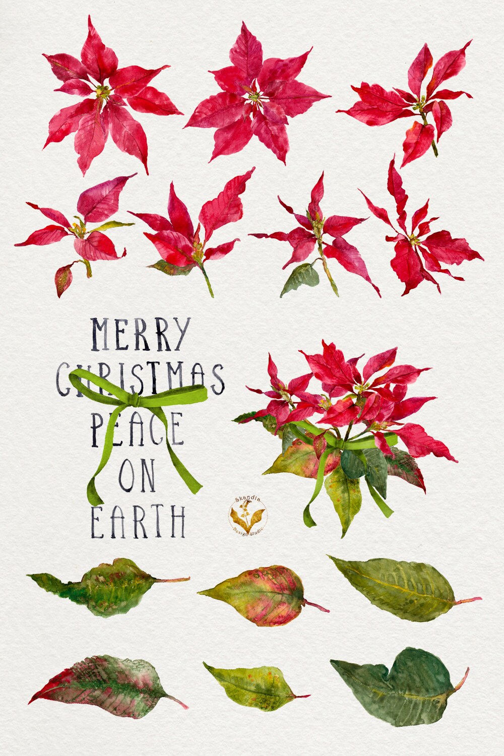 Christmas Clipart Poinsettia Clipart Watercolor Clipart | Etsy