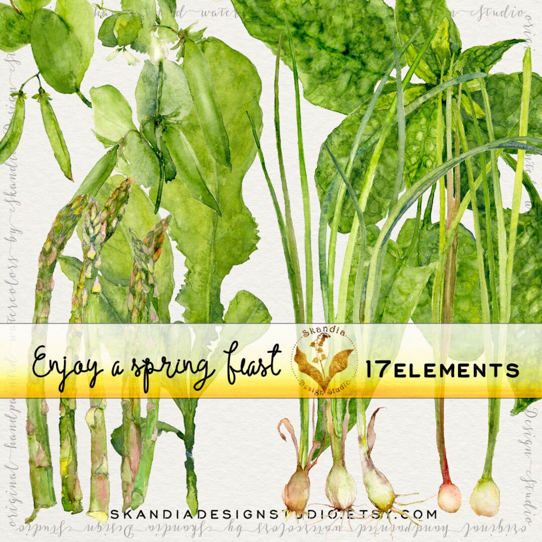 Watercolor Clipart, Spring Peas Clipart, Vegetable Clipart, Garden ...