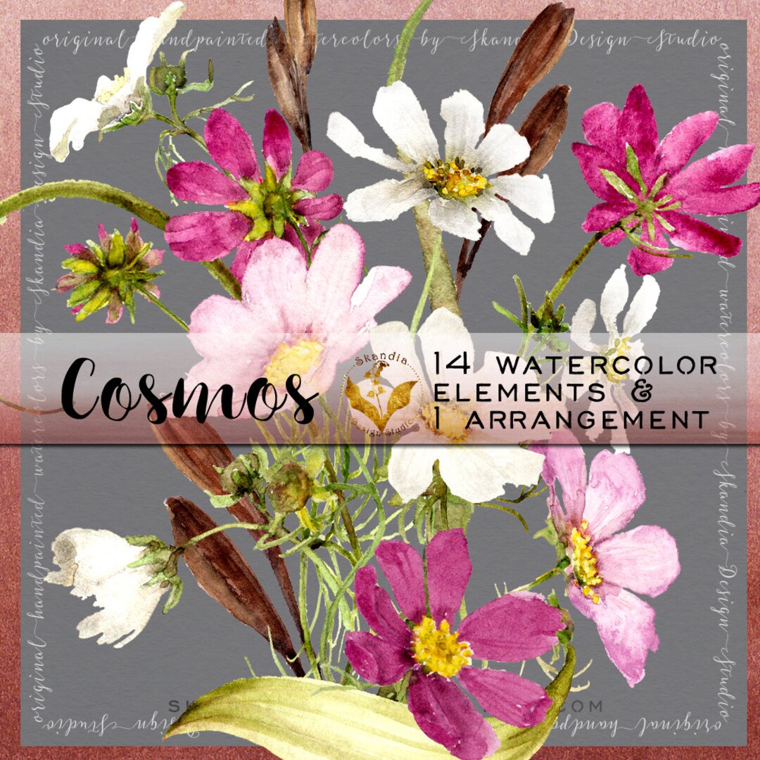 Floral Clipart Handpainted Clipart Watercolor Clipart - Etsy