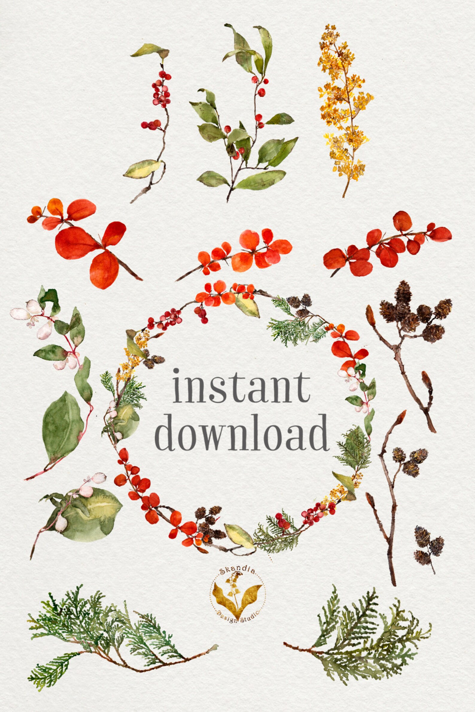 Watercolor Clipart Handpainted Clipart Autumn Clipart Fall | Etsy