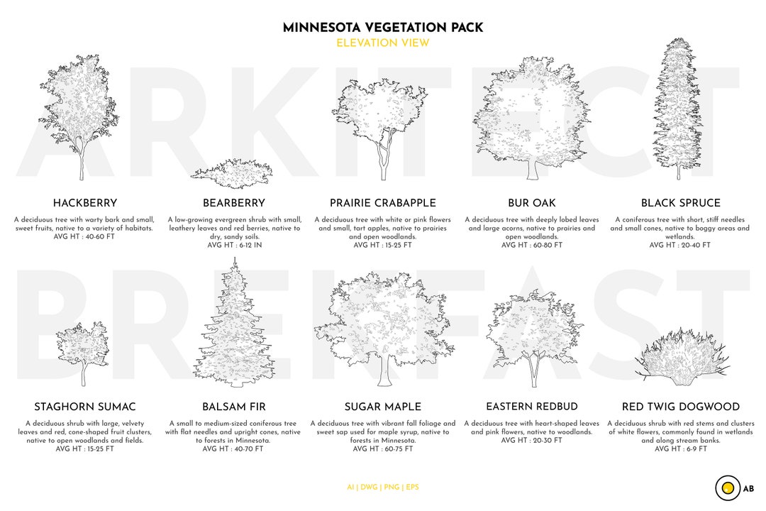Minnesota Vegetation Pack - Etsy