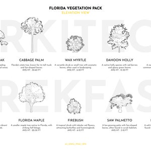Florida Vegetation Pack - Etsy