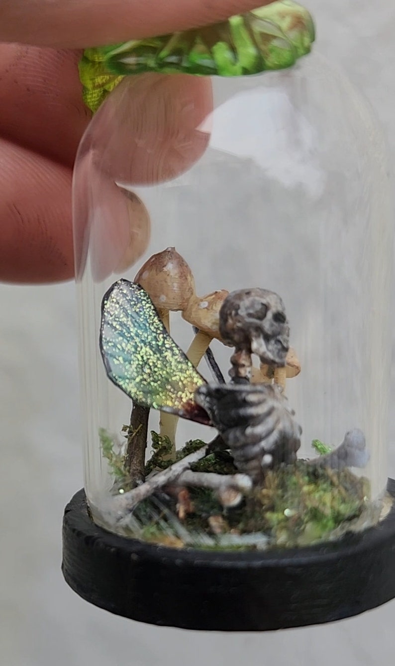 Realistic Dead Fairy Enclosed in Glass Dome. Mummified Fairy - Etsy