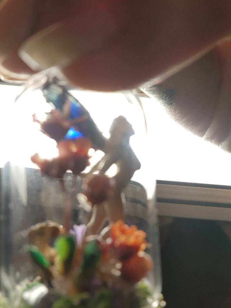 White Haired Fairy Enclosed in Glass Dome. Fairy Trapped in a - Etsy