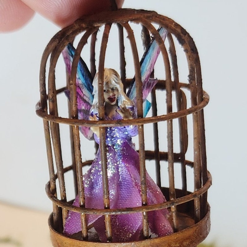Captured Fairies - Etsy