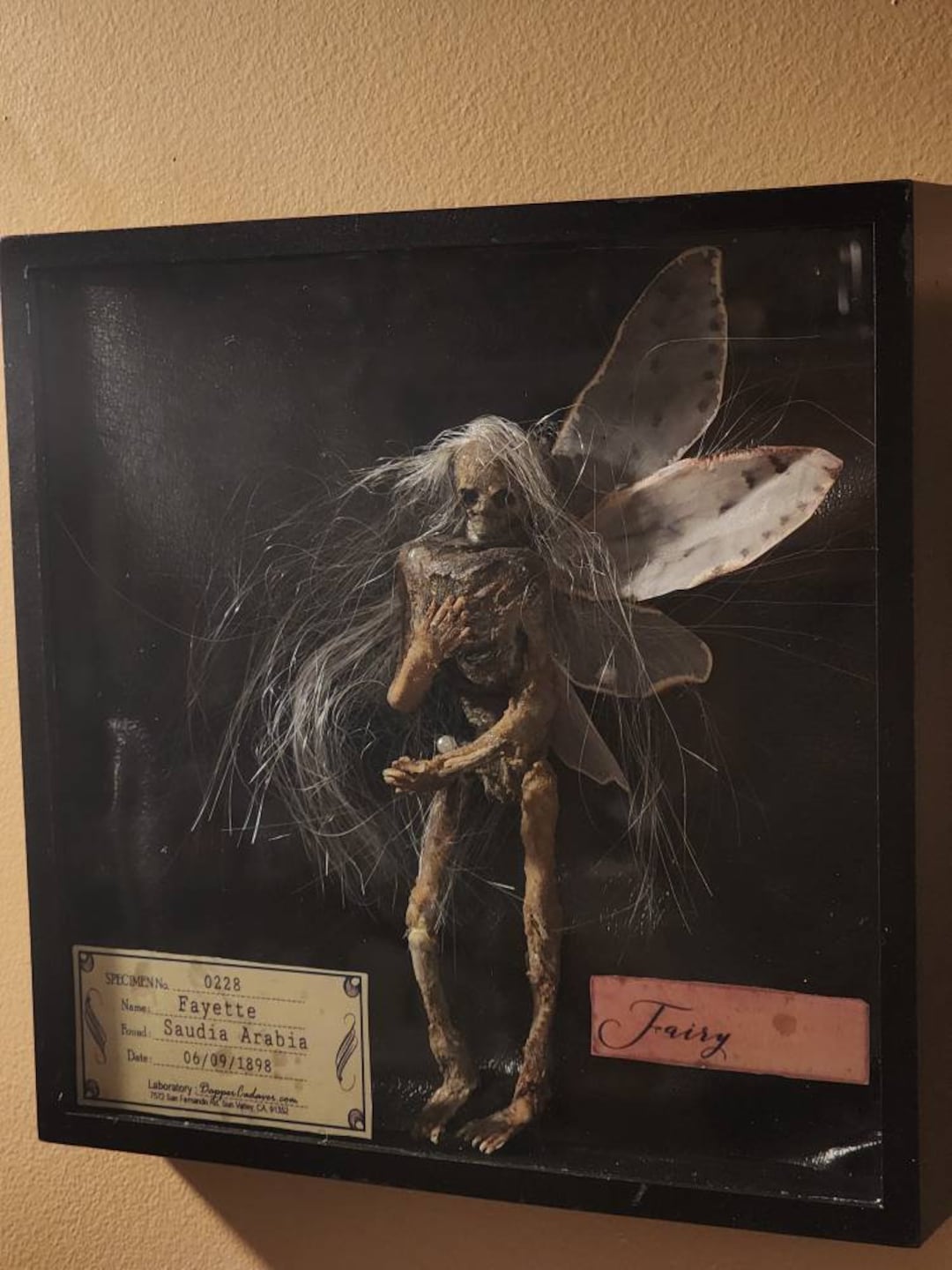 Fayette. Mummified Fairy. She Comes in a Case With Glass - Etsy
