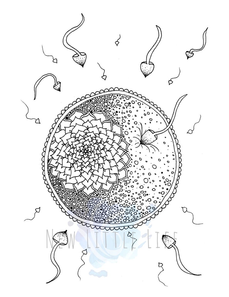 Pregnancy Coloring Page - DIGITAL DOWNLOAD - Birth Art, Adult Coloring ...