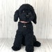 Goldendoodle Crochet Pattern Crochet Puppy Dog Crochet - Etsy Canada