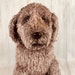 Goldendoodle Dog Crochet PATTERN, Crochet Puppy, Dog Crochet Pattern ...