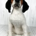 Walker Hound Crochet Pattern, Hound Crochet Pattern, Dog Crochet ...