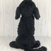 Goldendoodle Crochet Pattern, Crochet Puppy, Dog Crochet Pattern, Dog ...