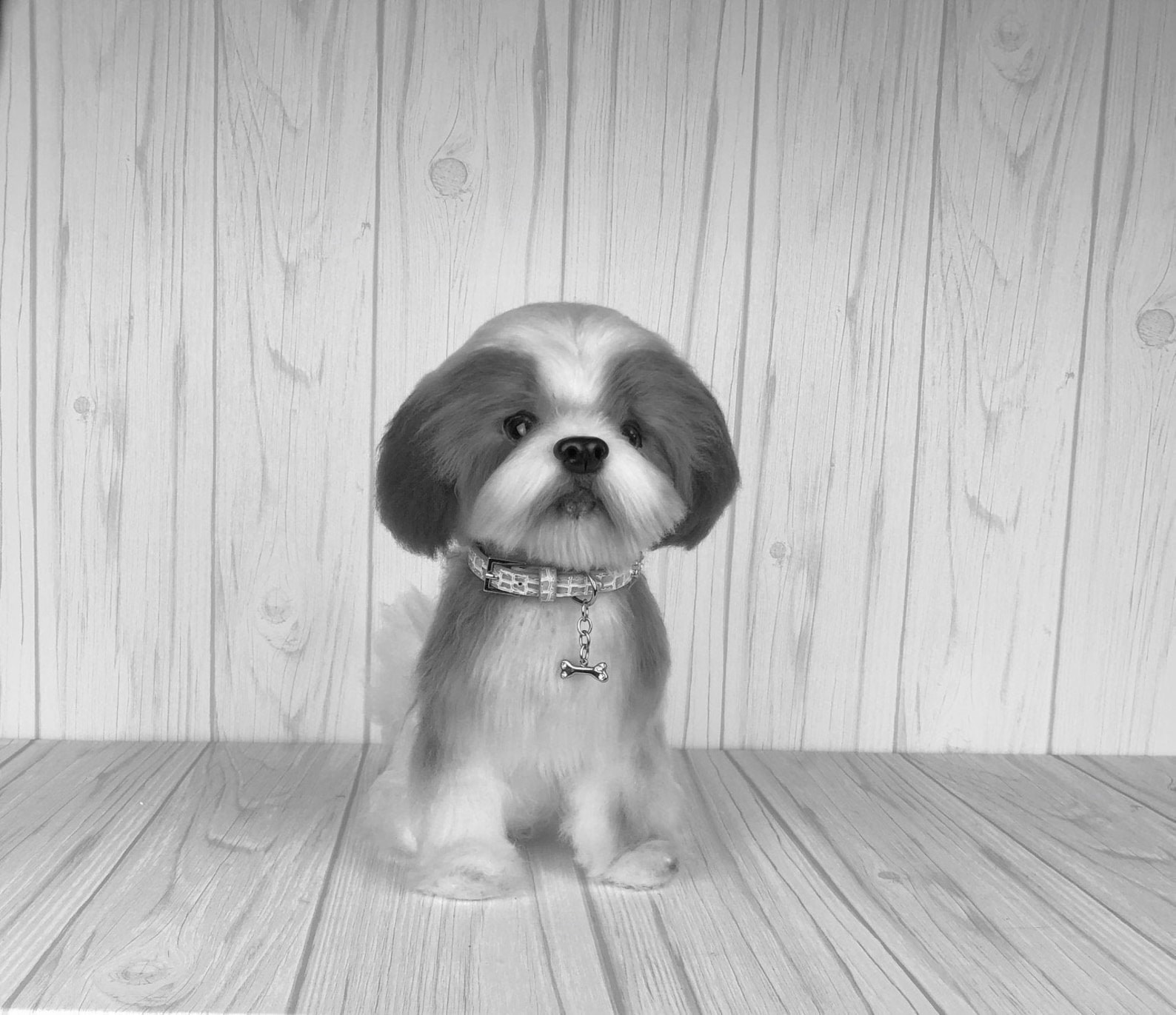 Shih Tzu Crochet Pattern: Amigurumi Puppy Dog (PDF Pattern) - Etsy