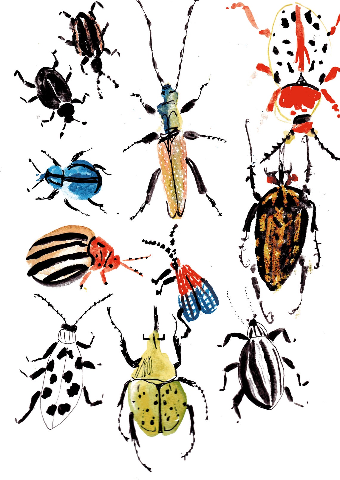 Beetle Art Print Insect Print Bugs Print Kids Room Decor - Etsy UK