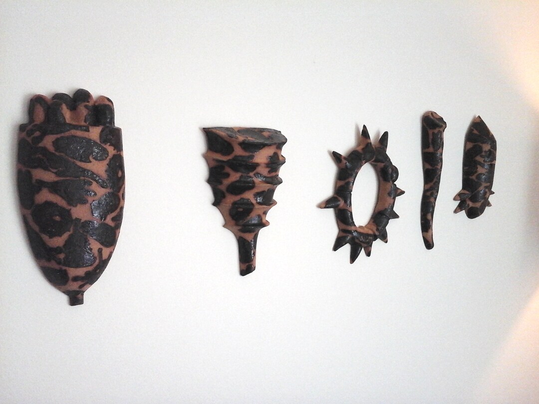 Organic Shape Wall Sculptures Set of 5, Male Art Lover Gift, Scientific ...