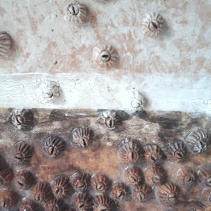 Rustic Wall Art, Square Ceramic Barnacle Sculpture in Earthy Colors ...