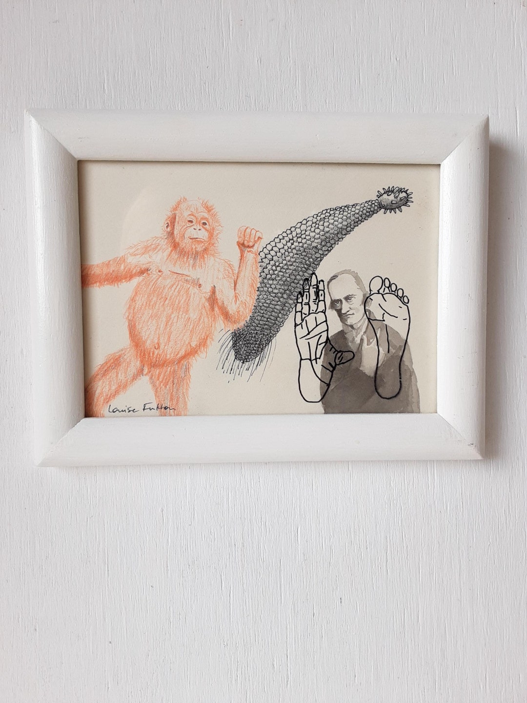 Original Drawing of Baby Orangutan, Protazoa, Charles Darwin and ...