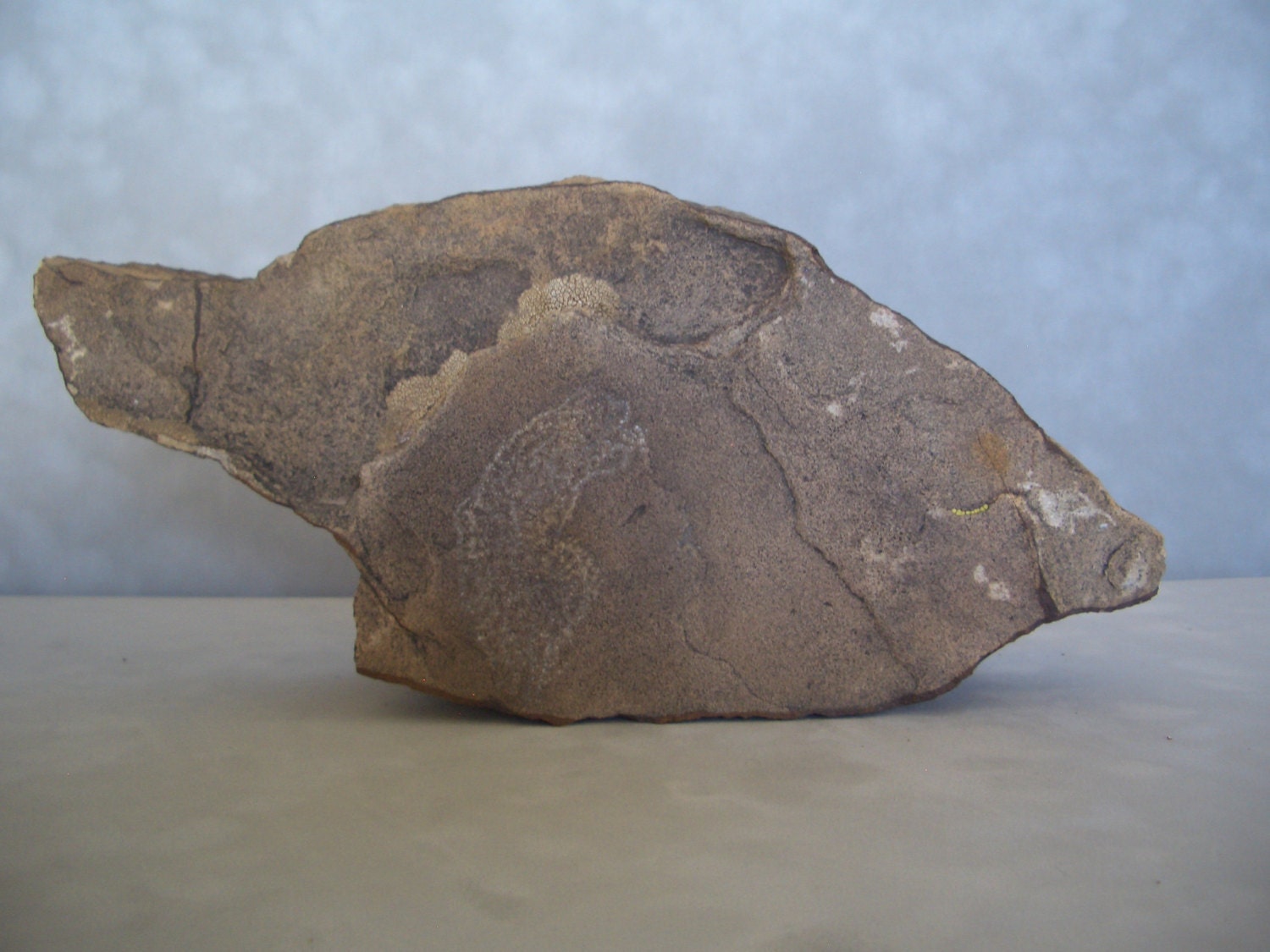 Woman and Howling Wolf Rock Art Natural Feature Images on Sandstone ...