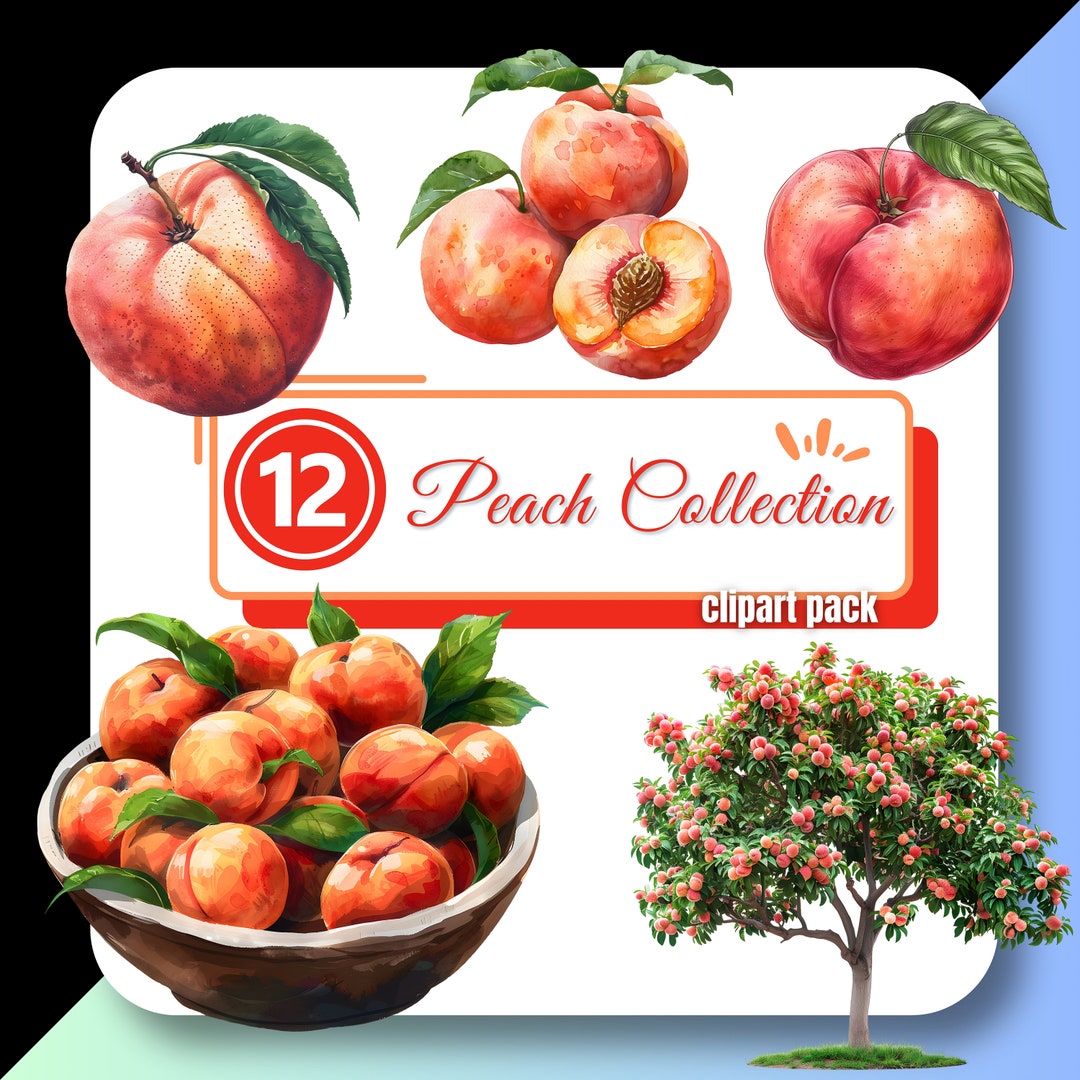 Peach Collection Clipart, Peach Fruit Tree Clip Art Sublimation ...