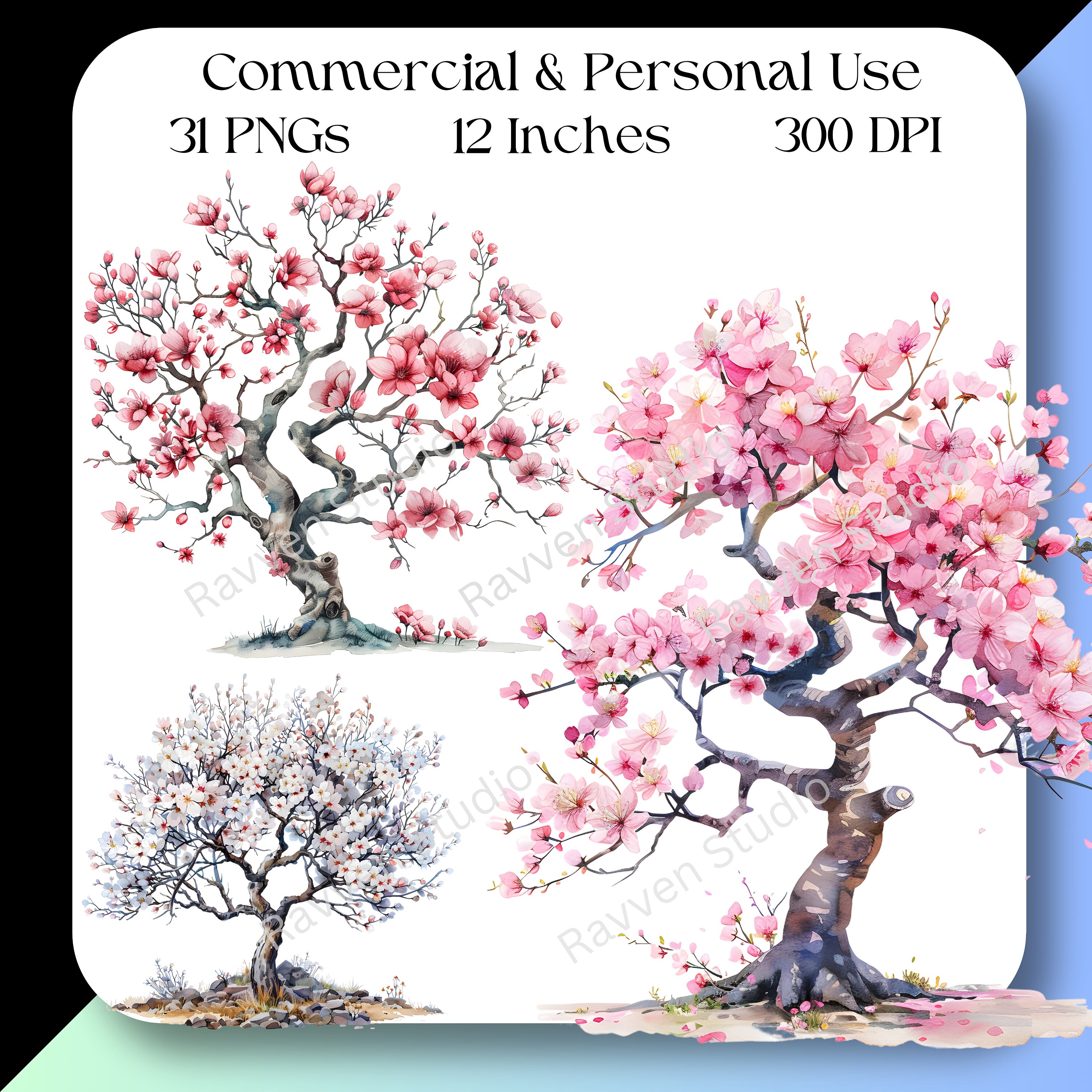 Cherry Blossoms Clipart, Sakura Png, Floral Clip Art, Tree, Digital ...