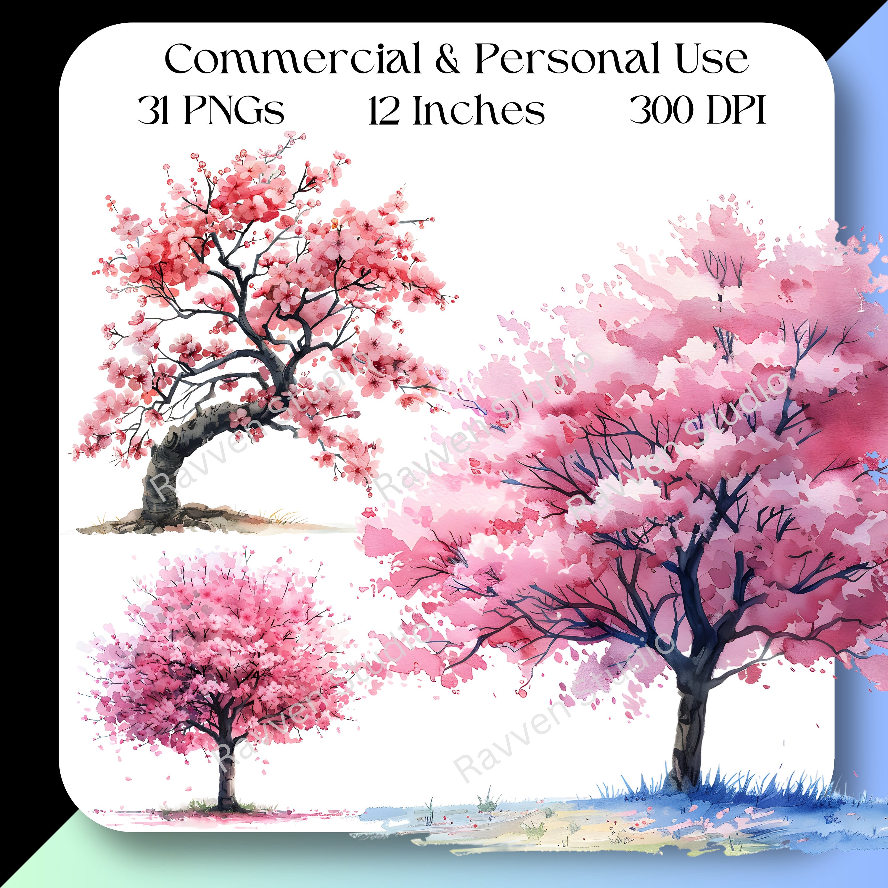 Cherry Blossoms Clipart, Sakura Png, Floral Clip Art, Tree, Digital ...