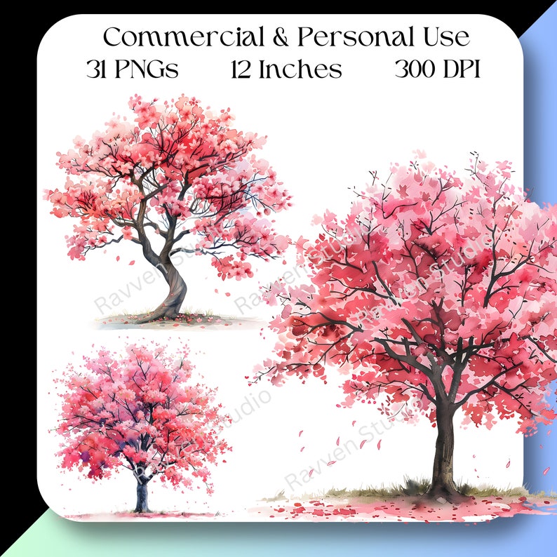 Cherry Blossoms Clipart, Sakura Png, Floral Clip Art, Tree, Digital ...