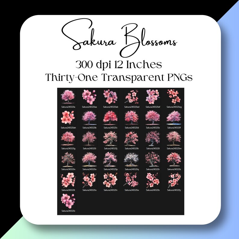 Cherry Blossoms Clipart, Sakura Png, Floral Clip Art, Tree, Digital ...