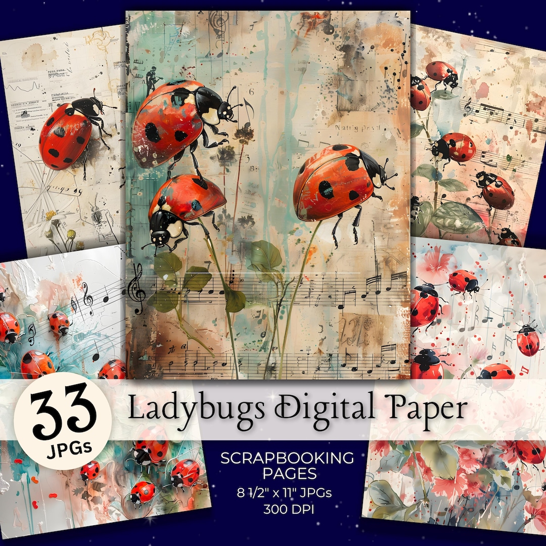 Ladybug Digital Paper Pack, Ladybird, Lady Bug, Insect, Graph Diagram ...