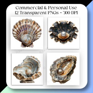 Pearls & Sea Shells Clipart Seashell Clam Oyster Floral Painted Shell ...