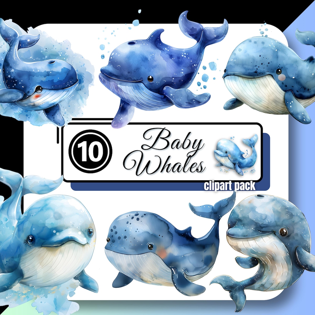 Baby WHALE Clipart Watercolor Ocean Clip Art High Quality PNG Instant ...